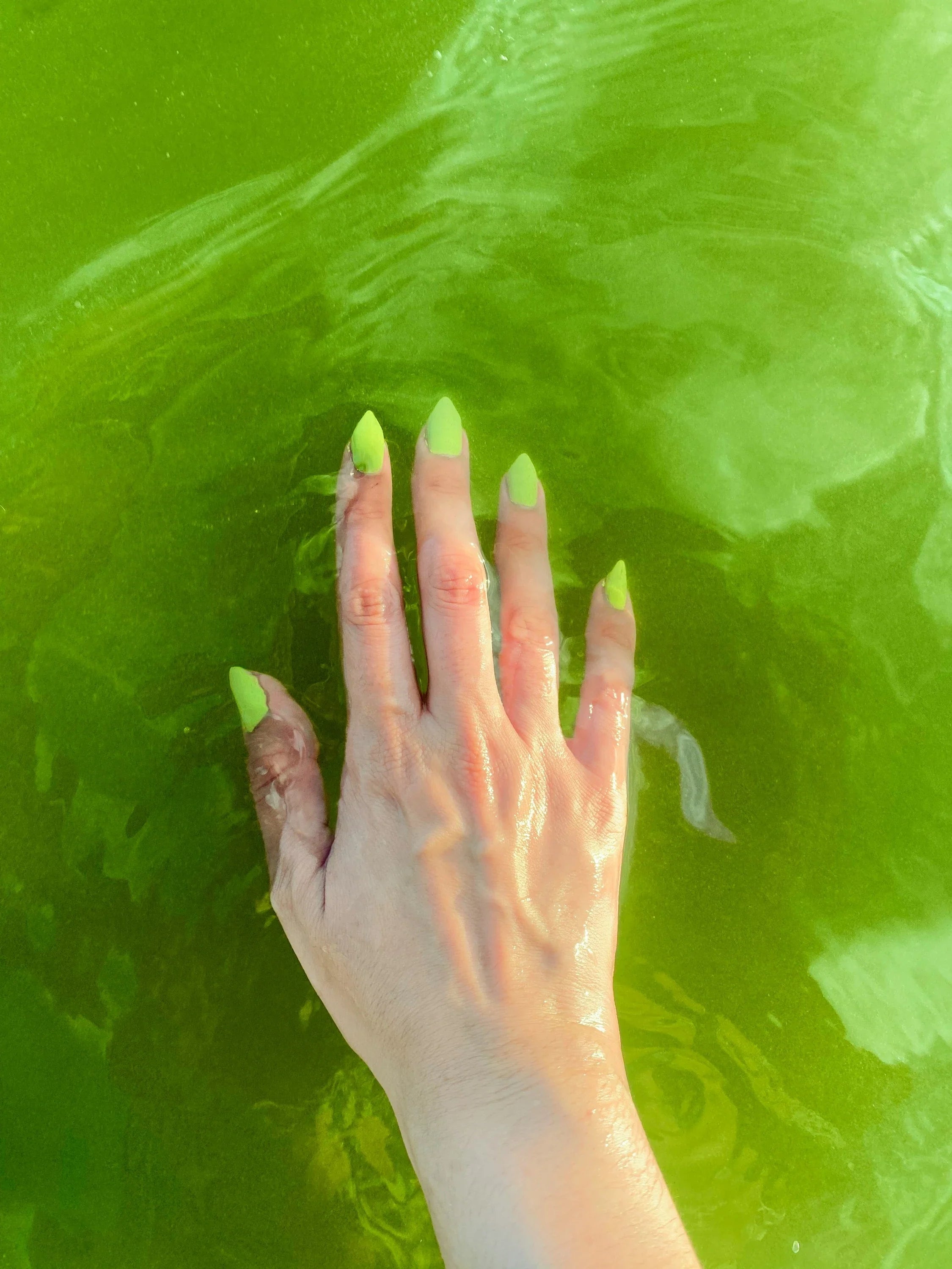 Your skin’s new matcha obsession: matcha bath melts – Matcha DNA